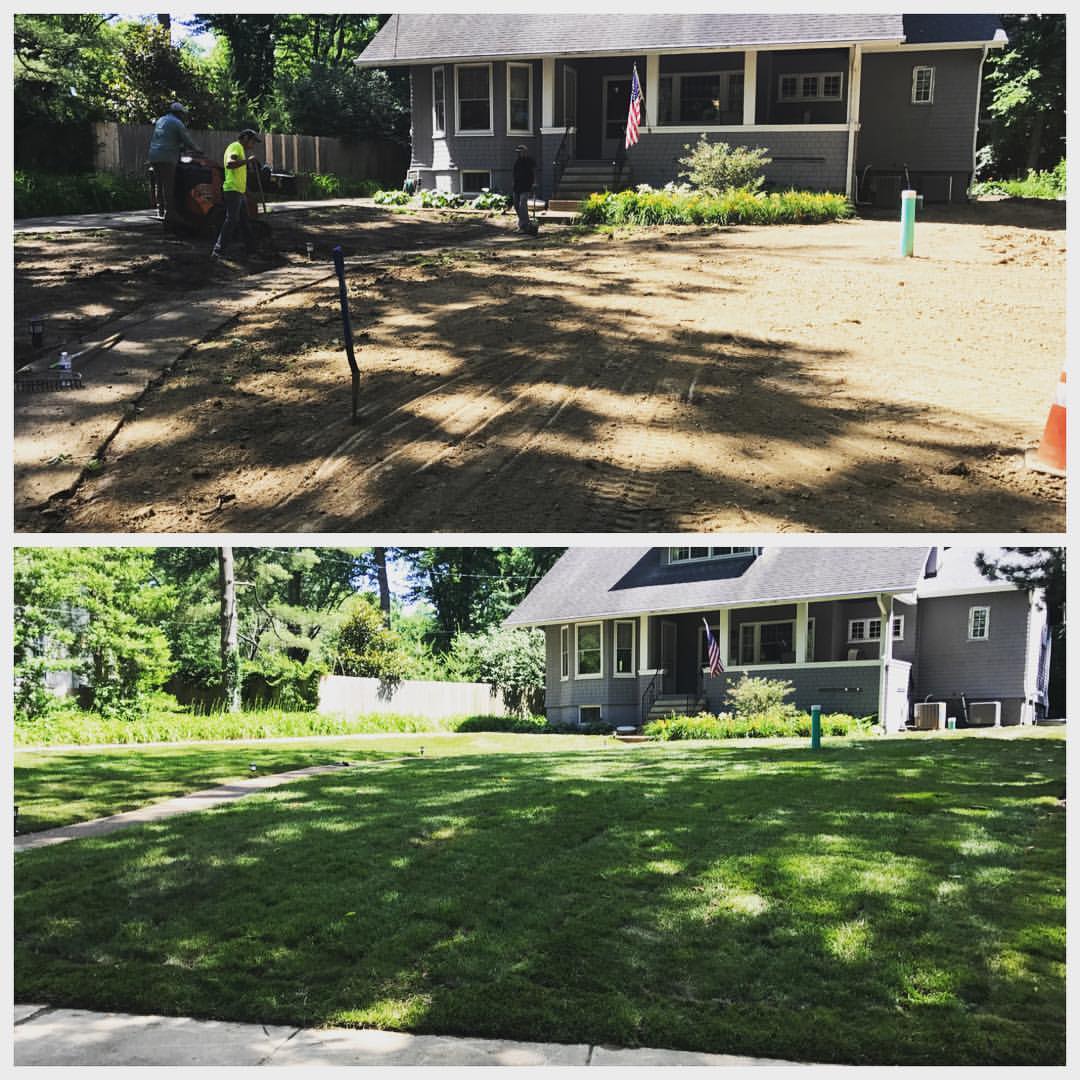 New Lawn Installations Sod, Seed, Or Turf St. Louis MO